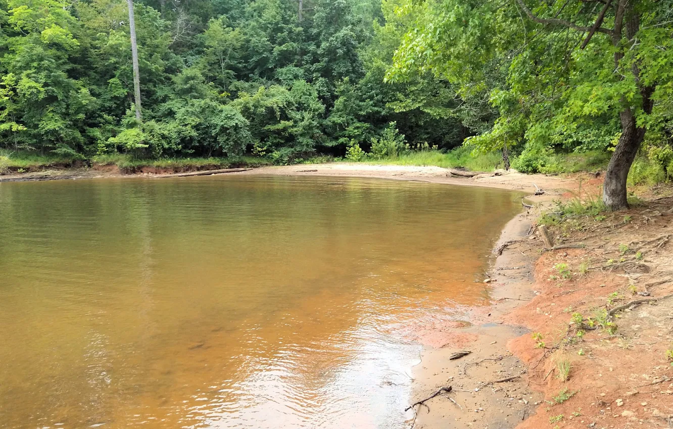 Wallpaper lake, North Carolina, Raleigh, Falls Lake for mobile and ...