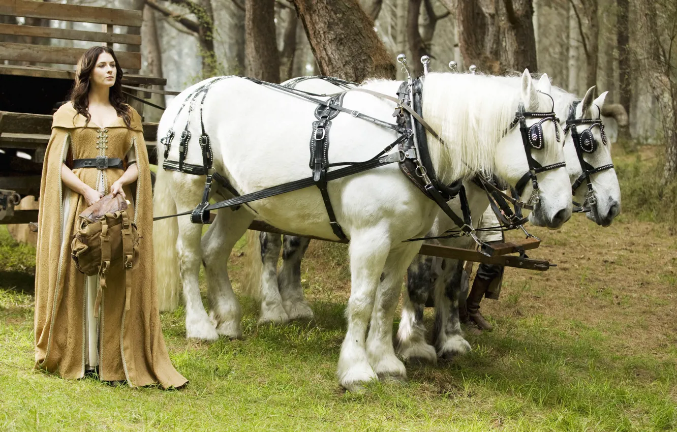 Wallpaper horse, horse, Legend of the Seeker, Legend of the Seeker ...