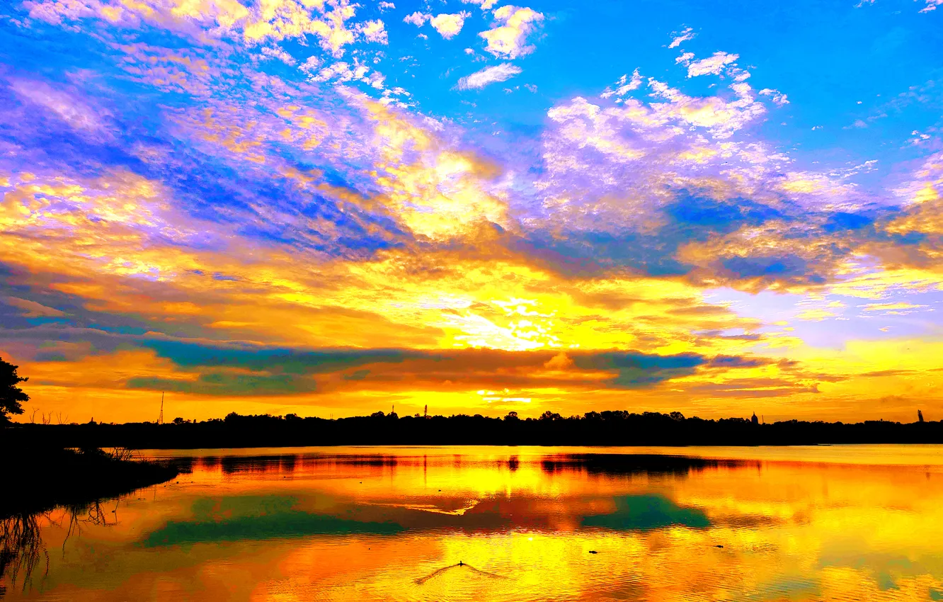 Wallpaper grass, sky, trees, water, lake, morning, sunrise, dawn for ...