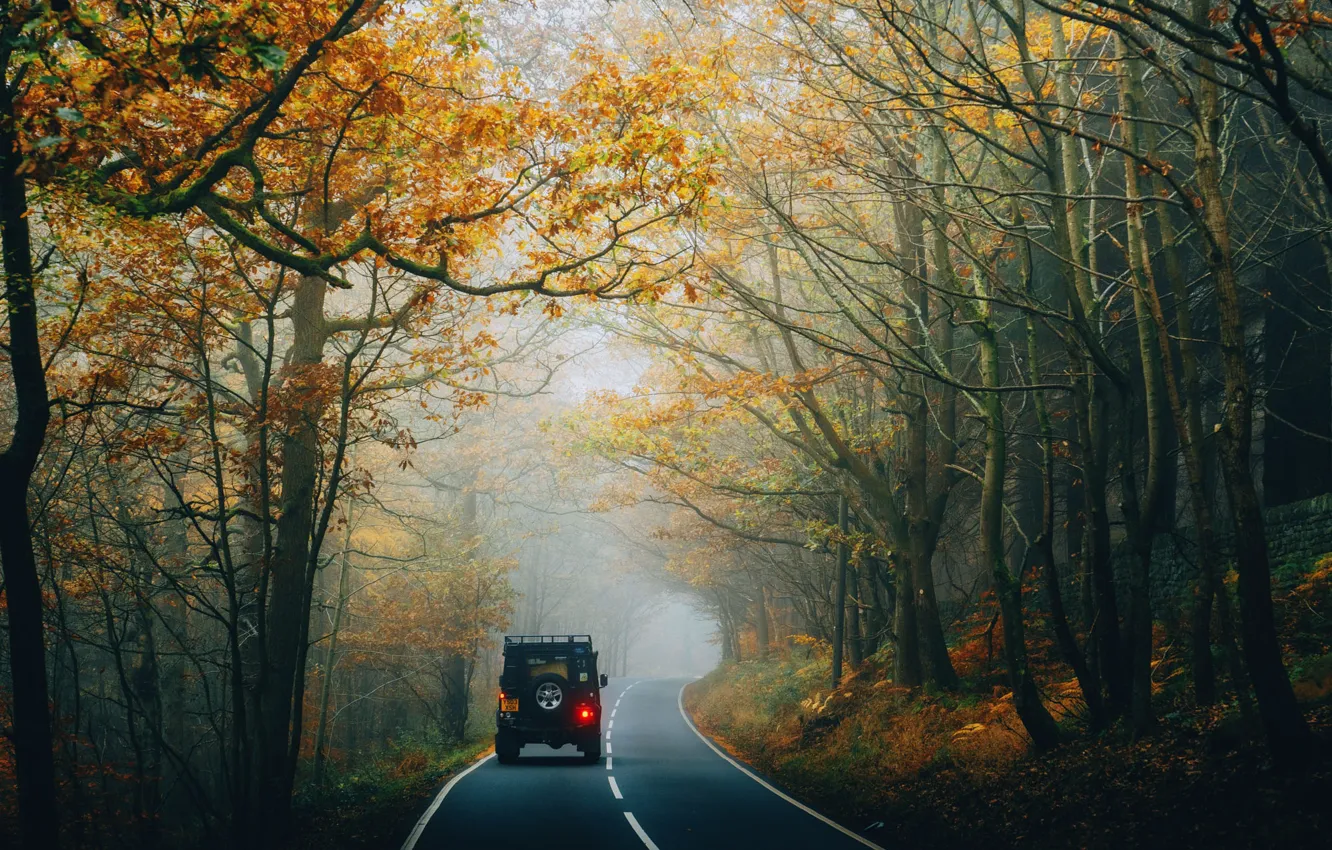 Wallpaper road, machine, forest, Park, highway for mobile and desktop ...