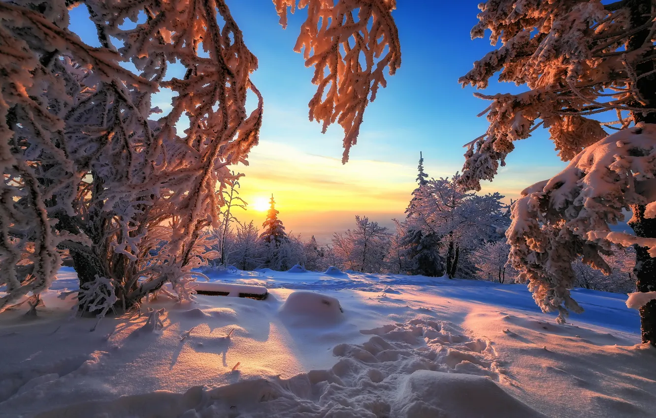 Wallpaper winter, snow, morning for mobile and desktop, section природа ...