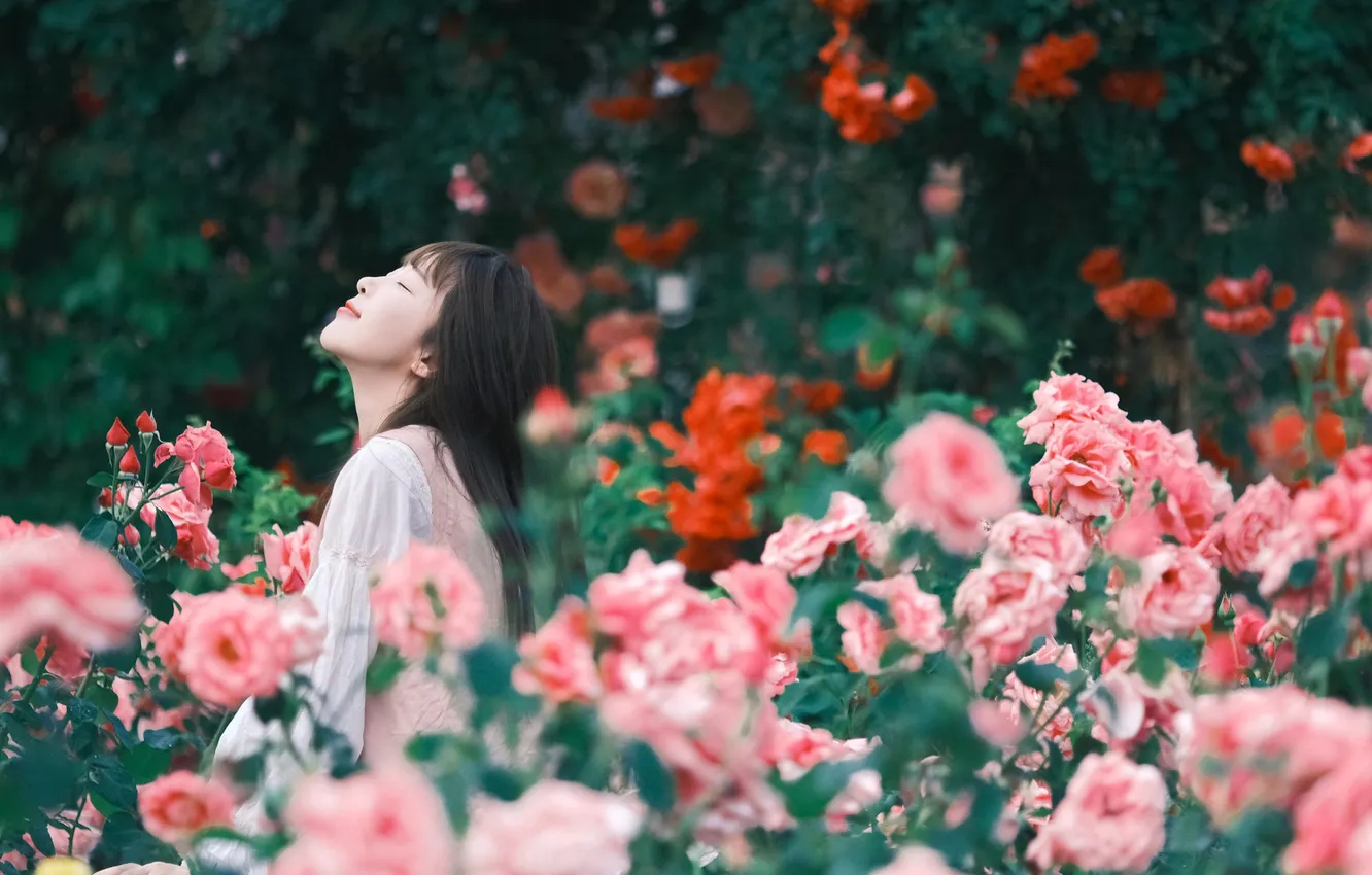 Wallpaper woman, flowers, beautiful, model, pretty, asian, roses, cute ...
