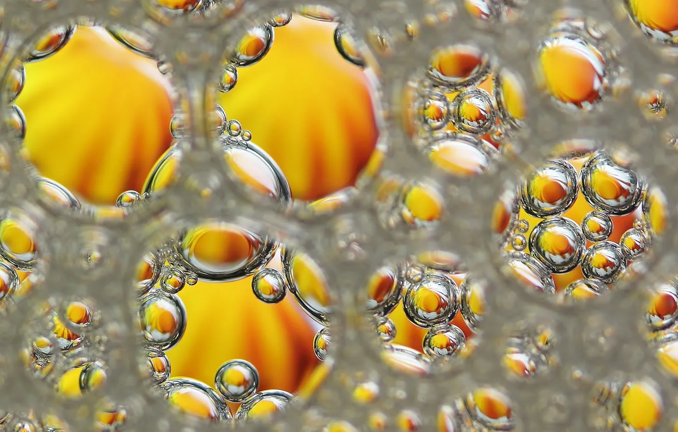 Wallpaper macro, bubbles, the volume for mobile and desktop, section ...