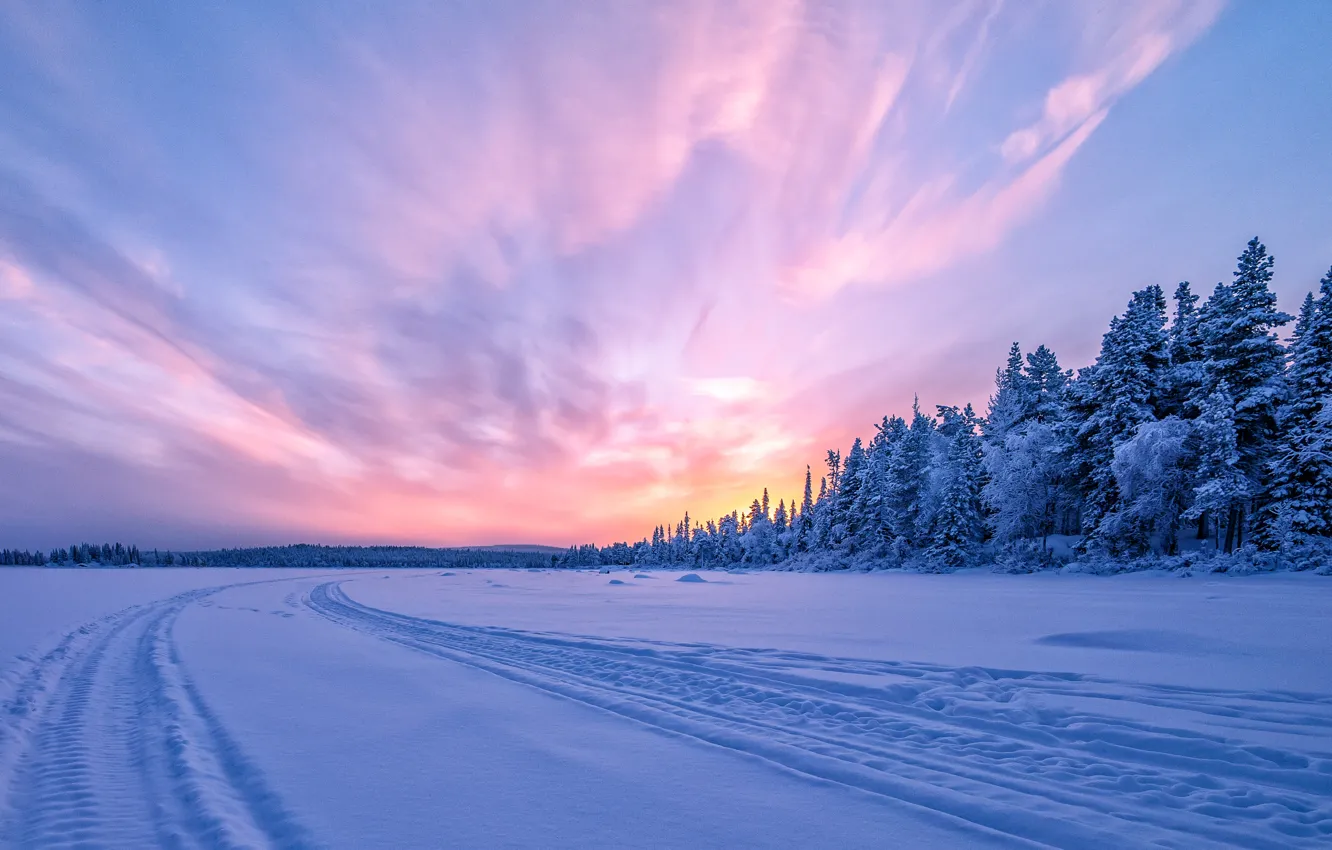 Wallpaper winter, forest, snow, sunset, Sweden, Sweden, frozen river ...