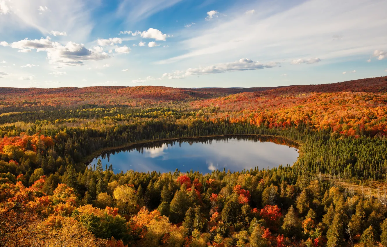 Wallpaper autumn, forest, lake for mobile and desktop, section пейзажи ...