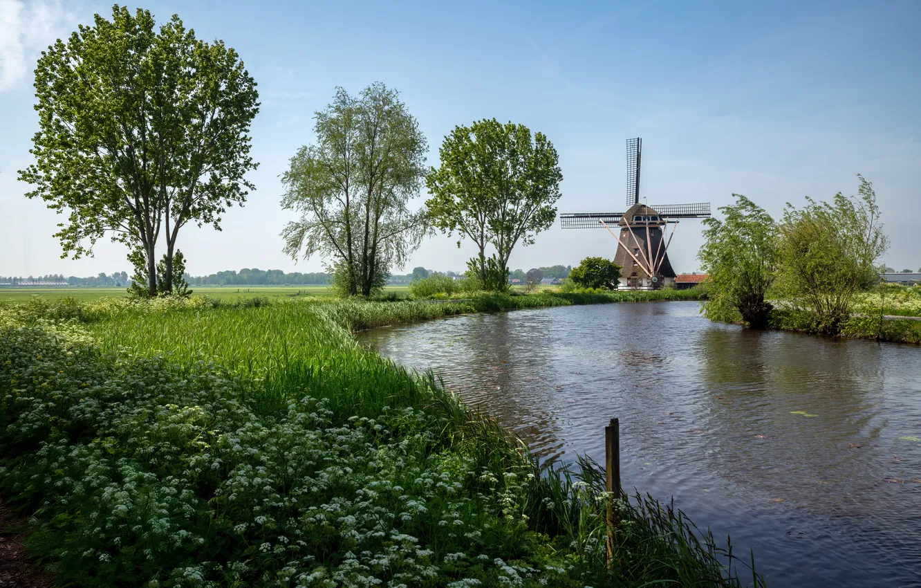 Wallpaper trees, mill, Netherlands, water channel for mobile and ...