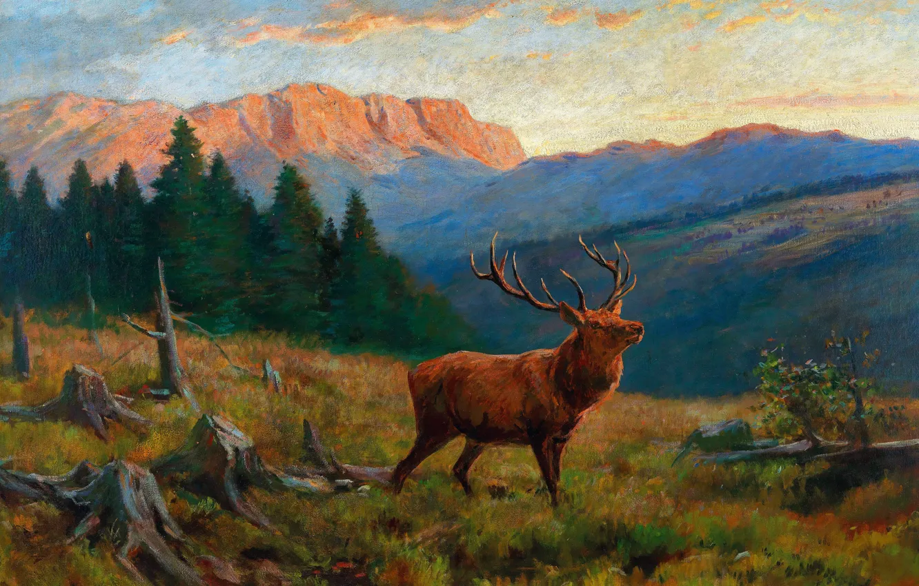 Wallpaper Grass, Trees, Picture, Deer, Pencil, Franz Xaver von ...