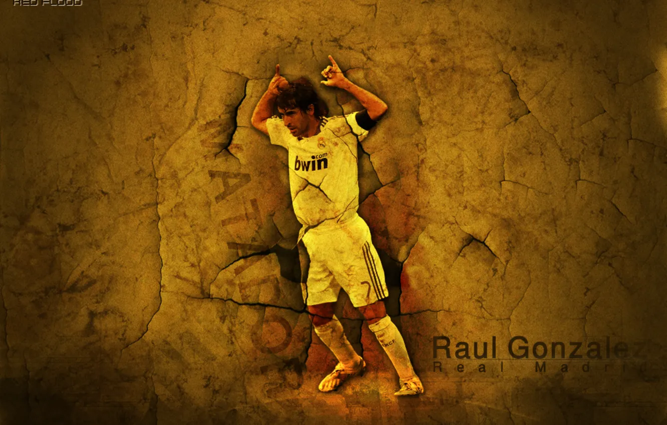 Wallpaper art, Legend, football, soccer, captain, Real Madrid, Raul ...