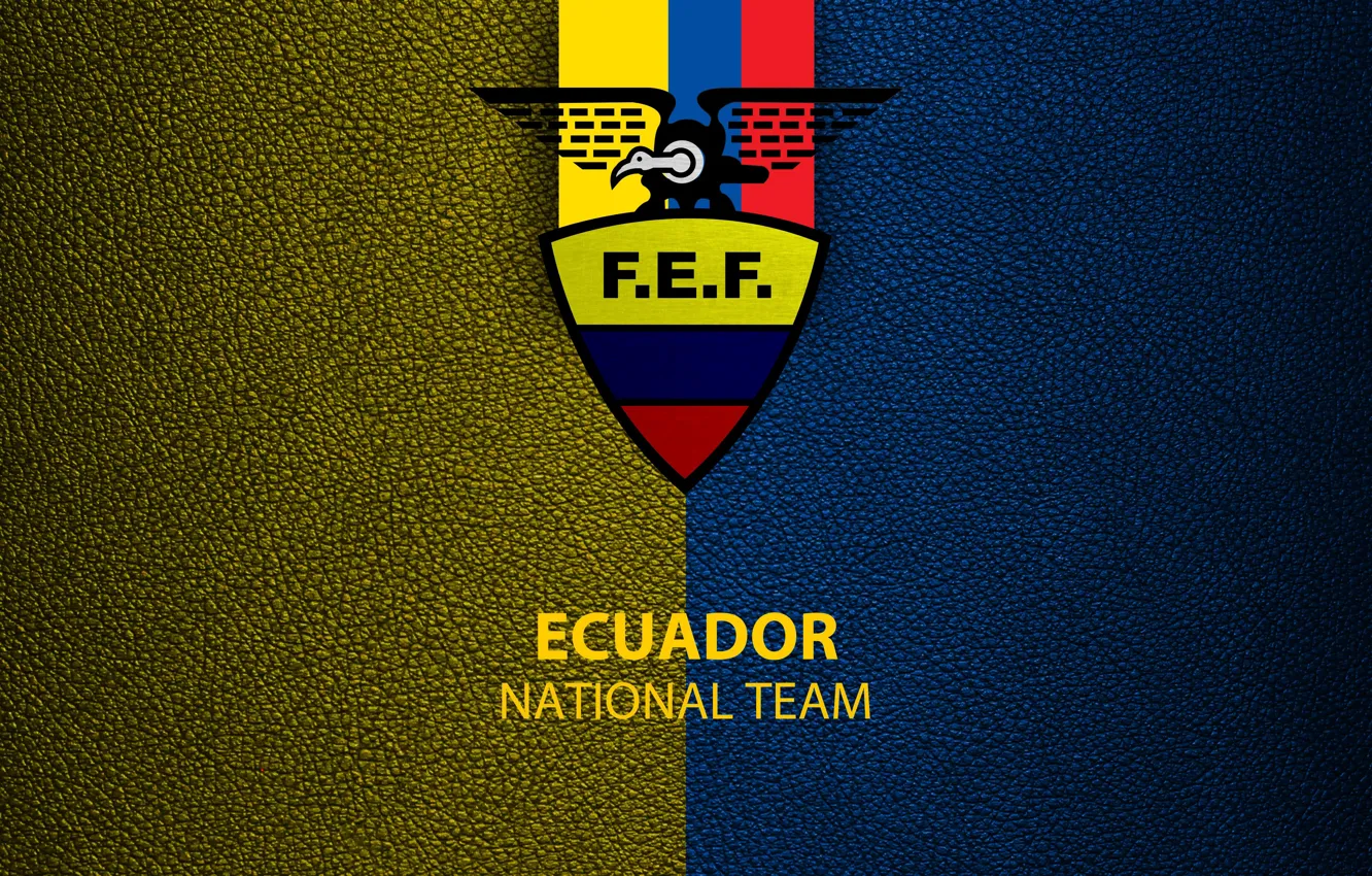 Wallpaper wallpaper, sport, logo, football, Ecuador, National team ...