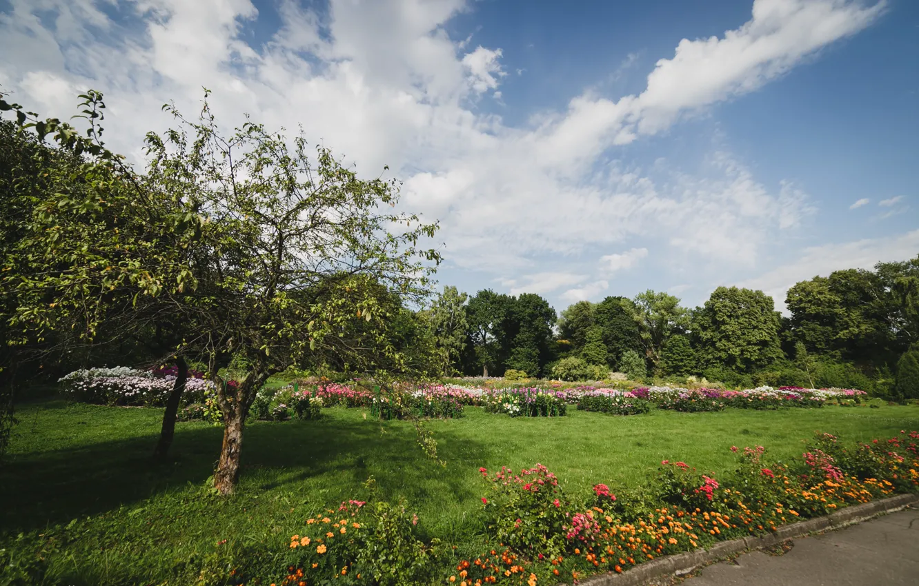 Wallpaper trees, landscape, flowers, nature, Botanical garden ...
