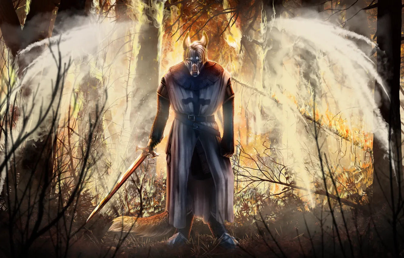 Wallpaper wolf, wings, angel, mail images for desktop, section ...