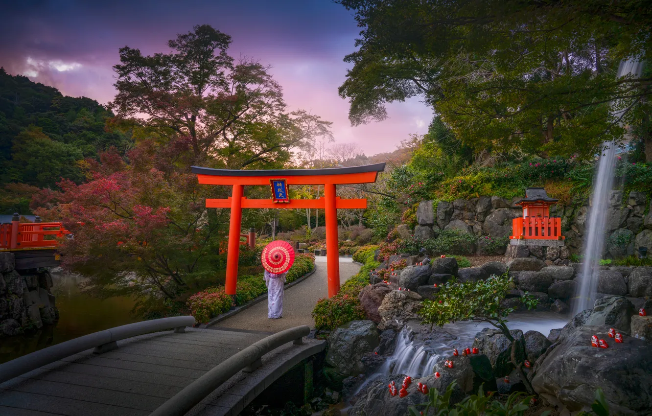Wallpaper trees, Park, umbrella, Japanese, waterfall, gate, Japan ...