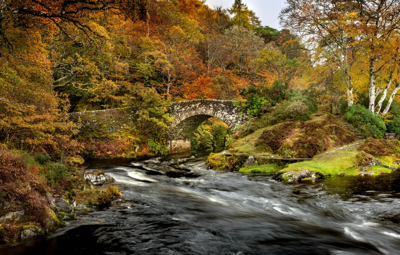 Wallpaper autumn, bridge, river for mobile and desktop, section природа ...