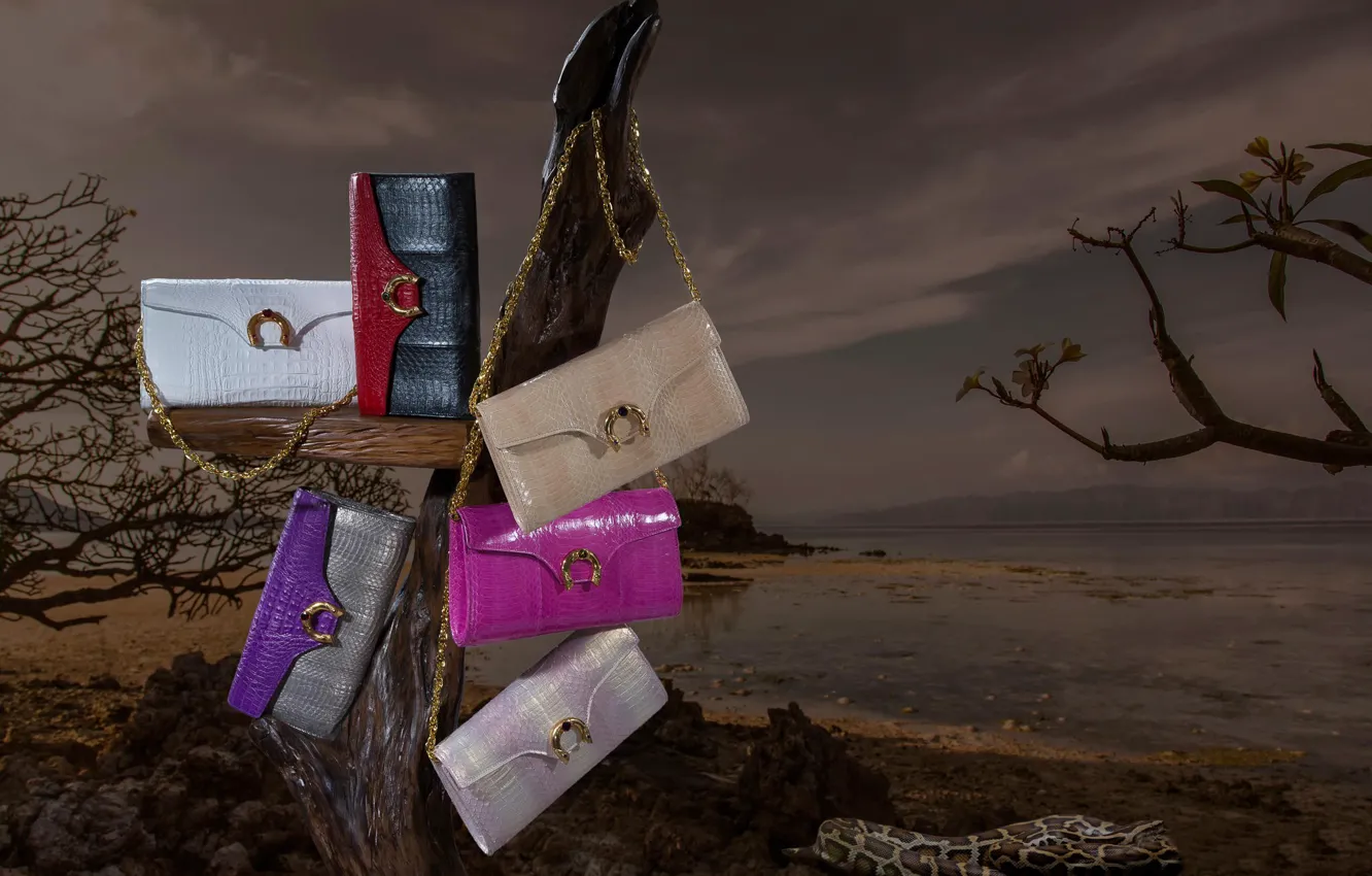 Wallpaper snake, concept, snake, trees, sea, exotic, crocodile ...