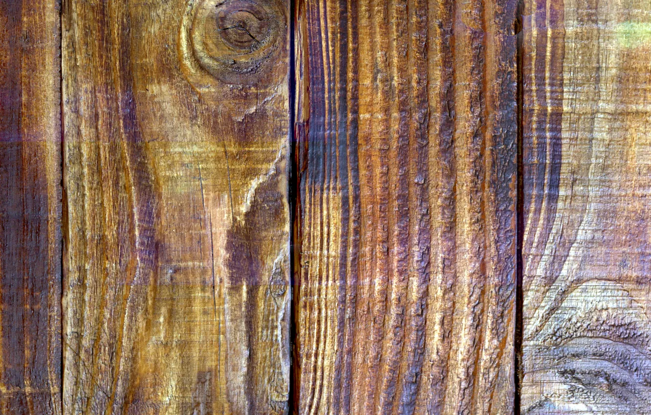 Wallpaper trees, color, texture for mobile and desktop, section ...