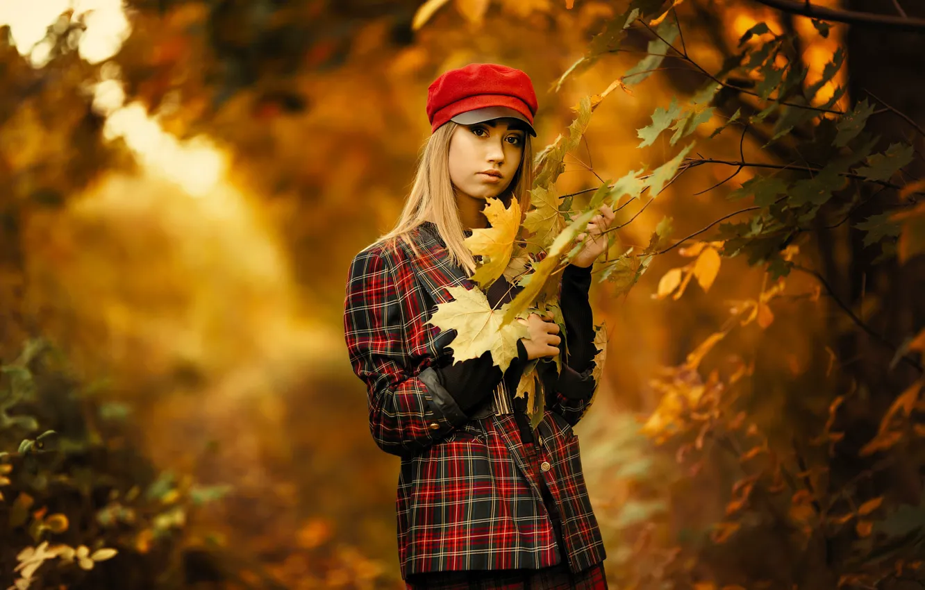 Wallpaper Autumn Look Leaves Trees Branches Nature Pose Park For