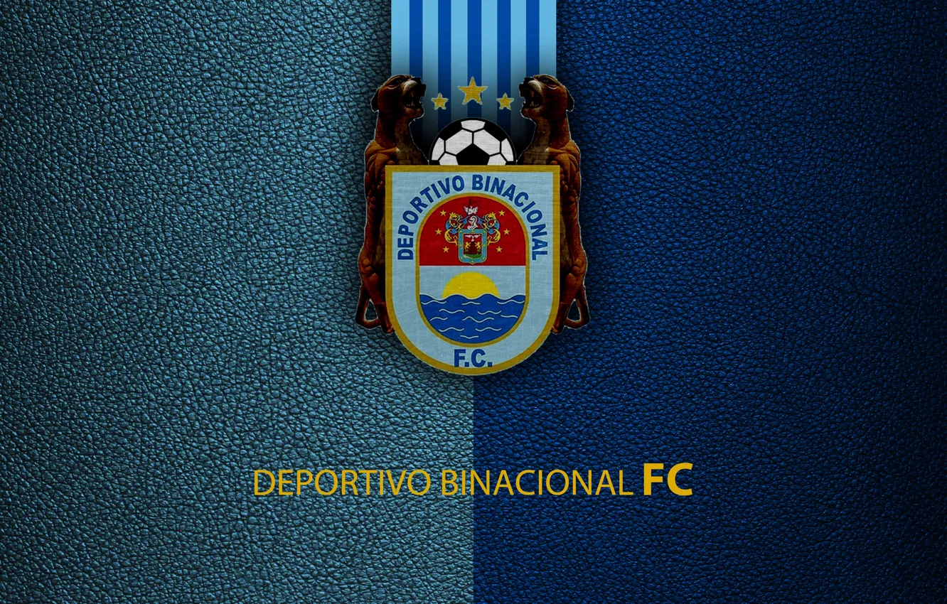 Wallpaper wallpaper, sport, logo, football, Binational images for ...