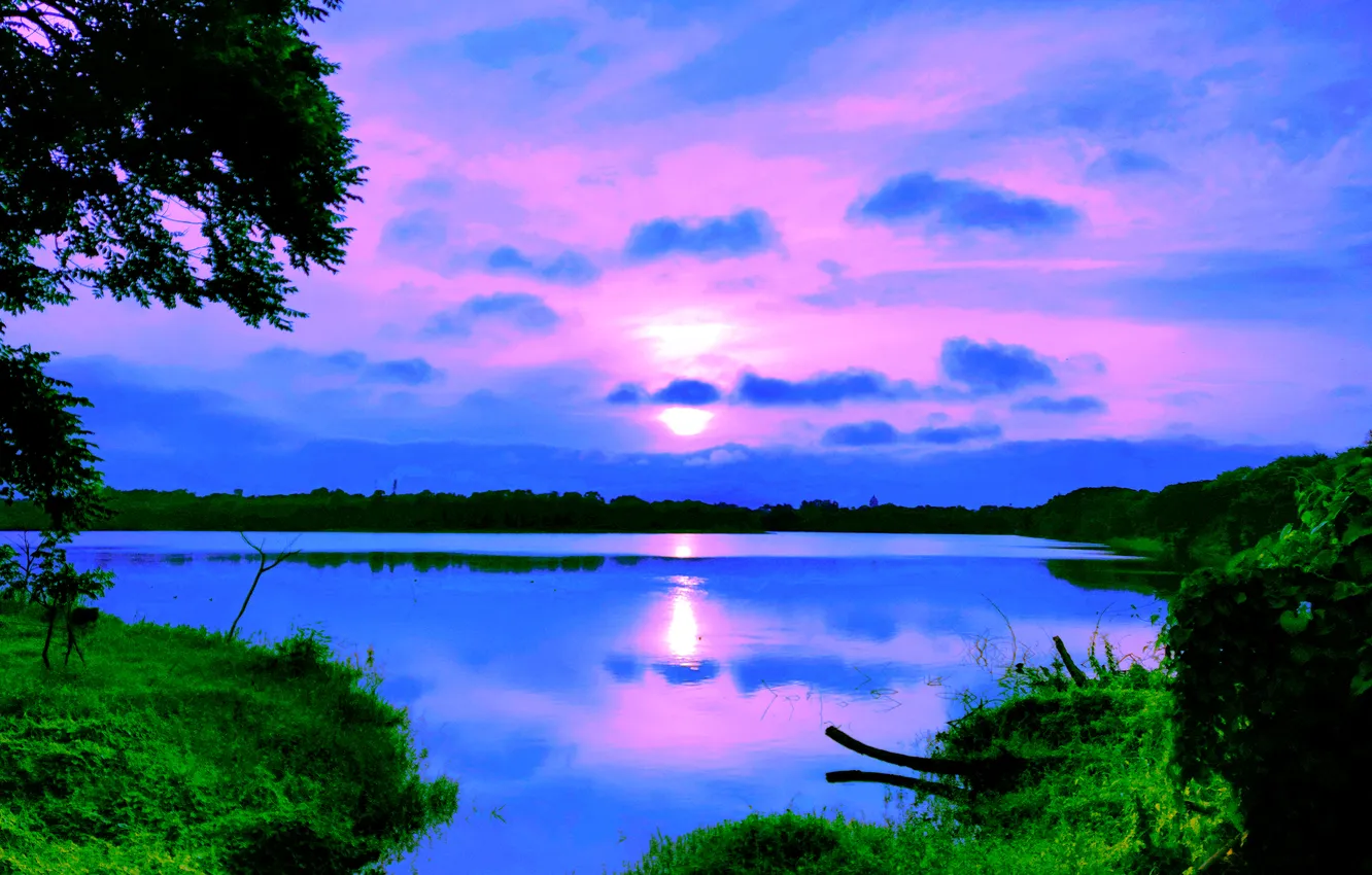Wallpaper sky, trees, water, lake, morning, sun, sunrise, dawn for ...