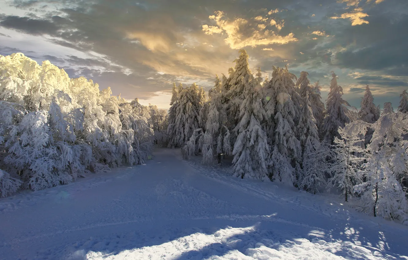 Wallpaper winter, road, forest, the sky, the sun, clouds, light, snow ...