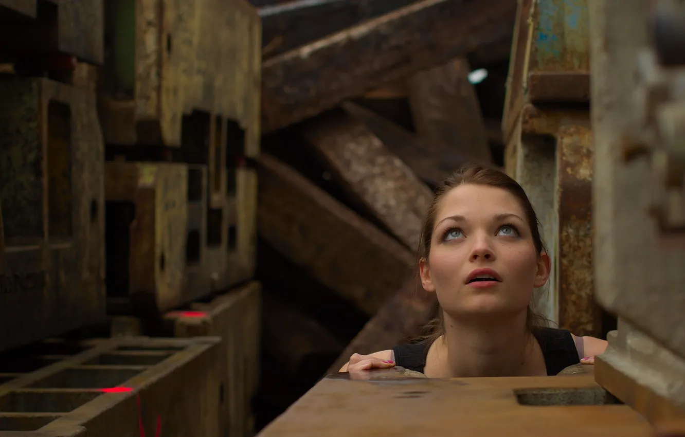 Wallpaper look, sponge, bokeh, Alex Fremer for mobile and desktop ...