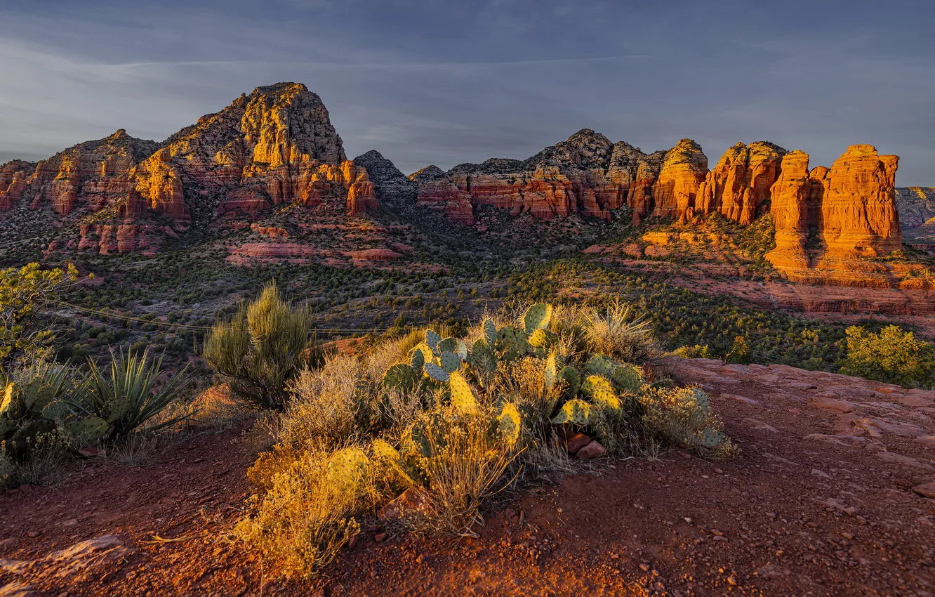 Wallpaper field, the sky, light, mountains, rocks, vegetation, desert ...