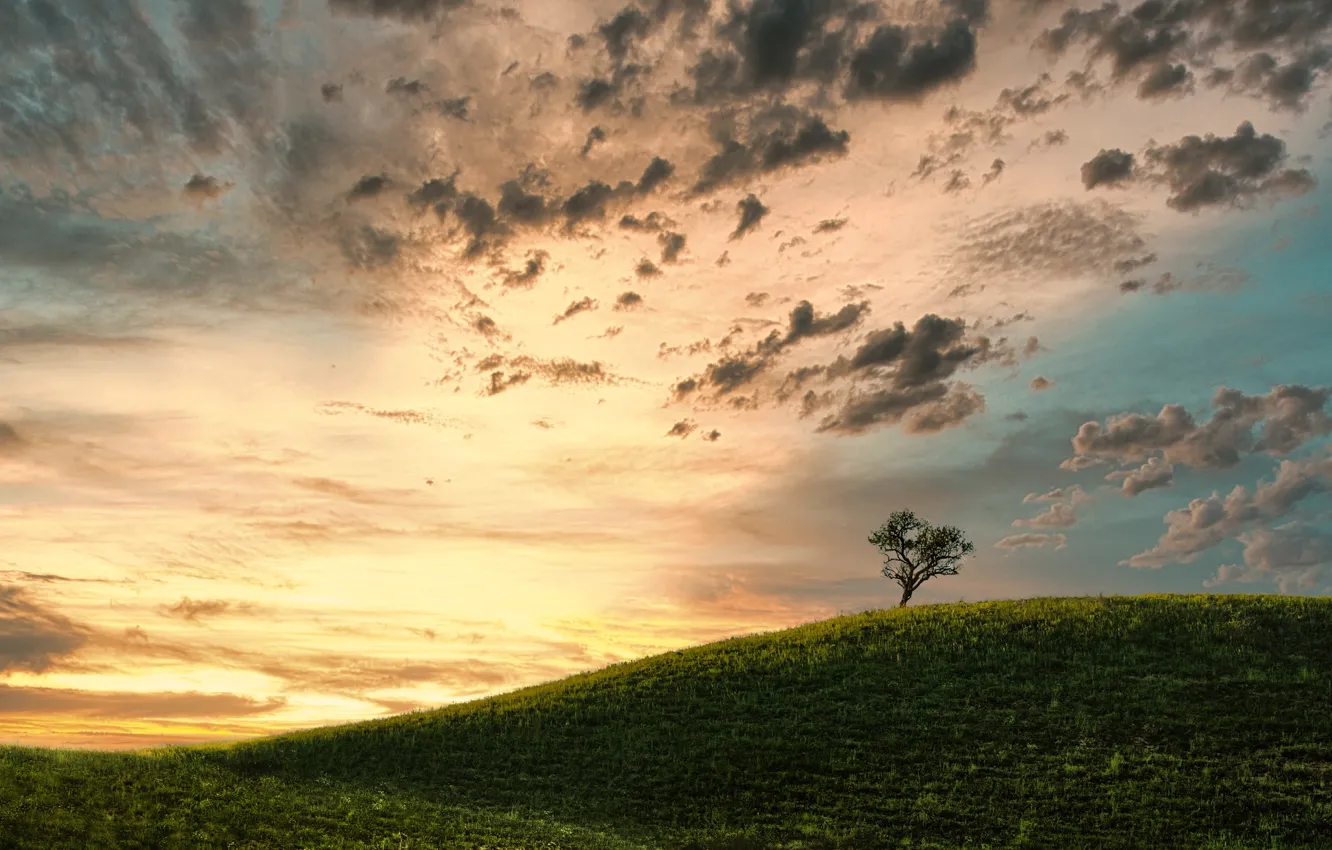 Wallpaper field, clouds, tree, field, clouds, tree, Marius Bodea for ...