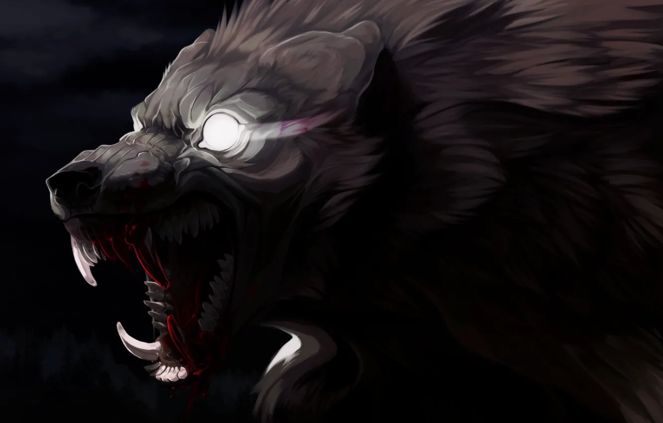 Wallpaper blood, wolf, wool, mouth, fangs for mobile and desktop ...