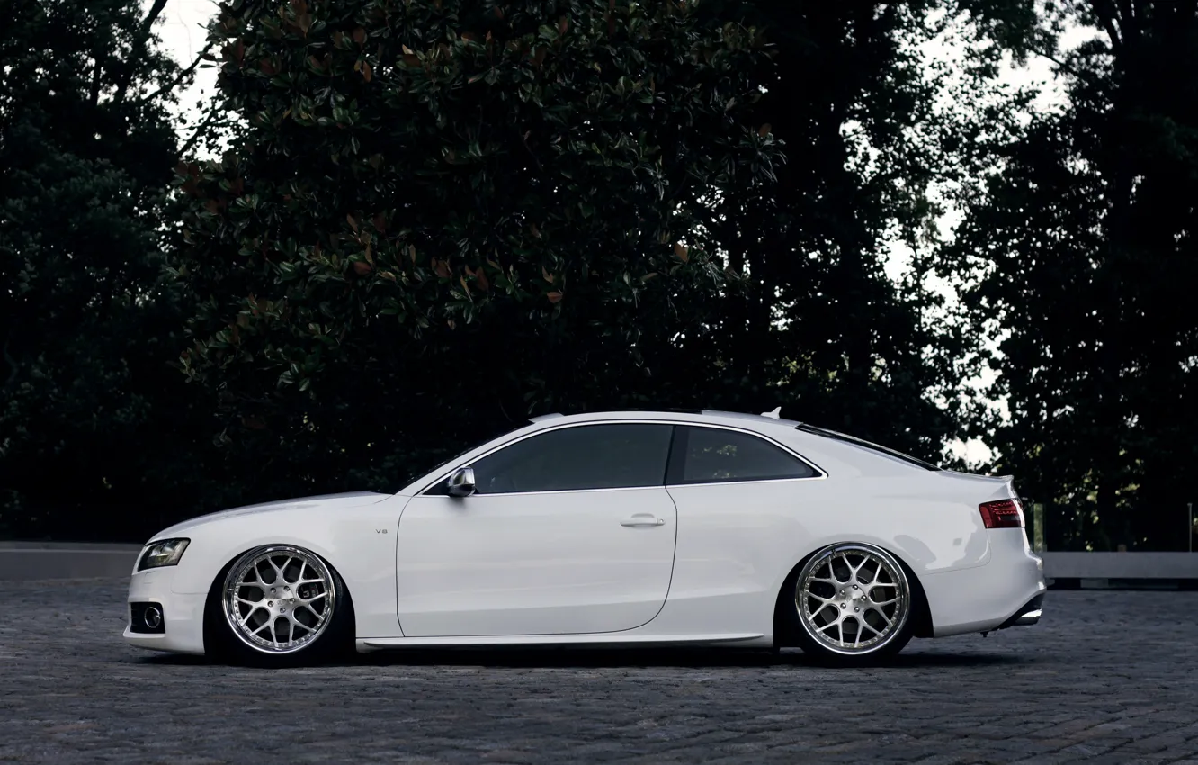 Wallpaper Audi, Audi, profile, white, white for mobile and desktop ...