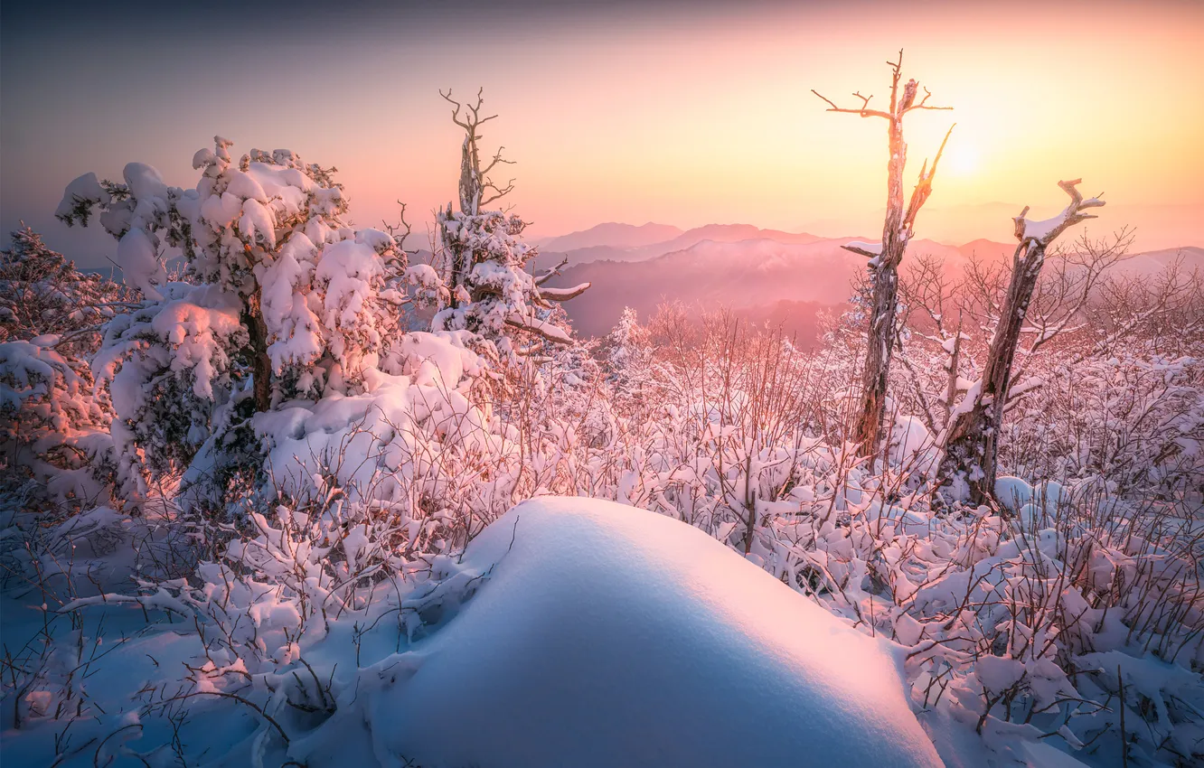 Wallpaper winter, frost, forest, the sun, light, snow, trees, mountains ...