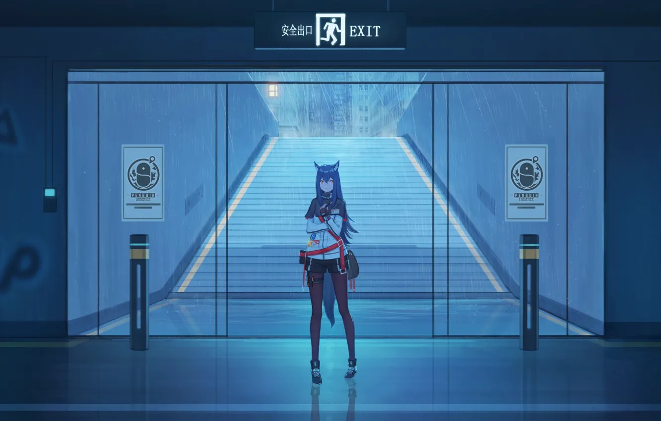 Wallpaper girl, ladder, ears, veri for mobile and desktop, section арт ...