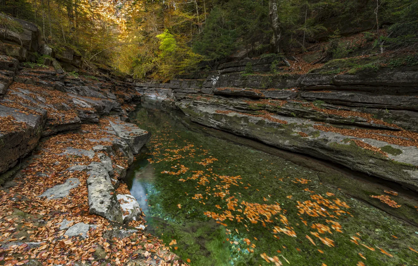Wallpaper autumn, forest, rocks, shore, foliage, waterfall, stream, the ...
