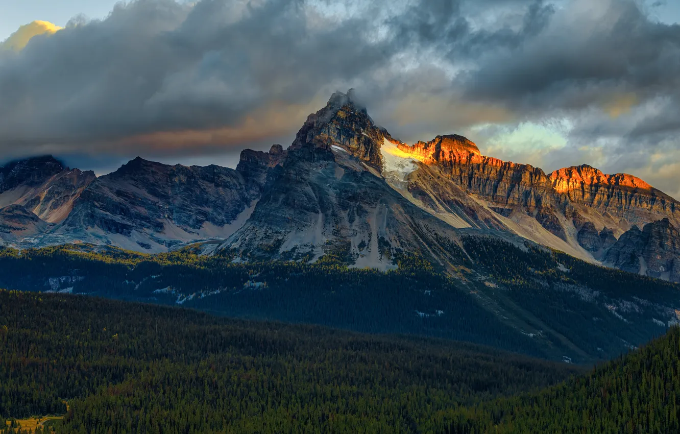 Wallpaper forest, clouds, light, mountains, rocks, tops for mobile and ...