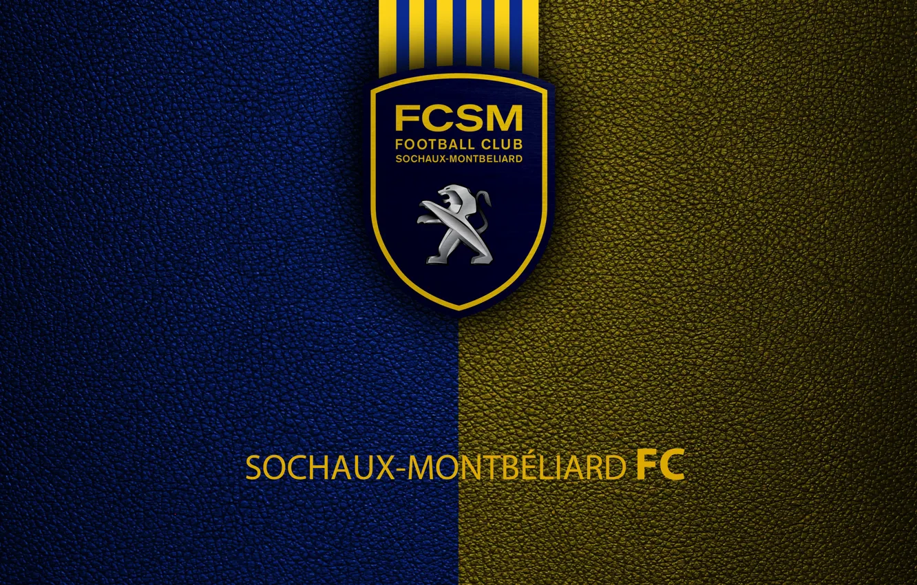Wallpaper wallpaper, sport, logo, football, Ligue 1, Sochaux ...