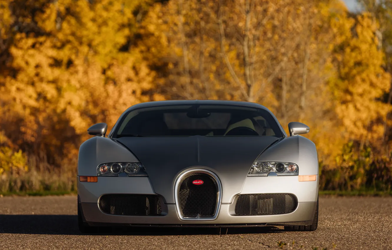 Wallpaper Bugatti, Veyron, Bugatti Veyron, front, 16.4 for mobile and ...