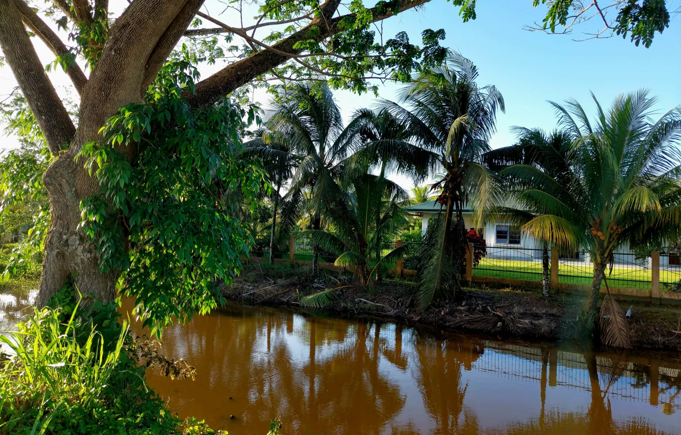Wallpaper Nature in Suriname, Morino Ravenberg nature, Morino Ravenberg ...