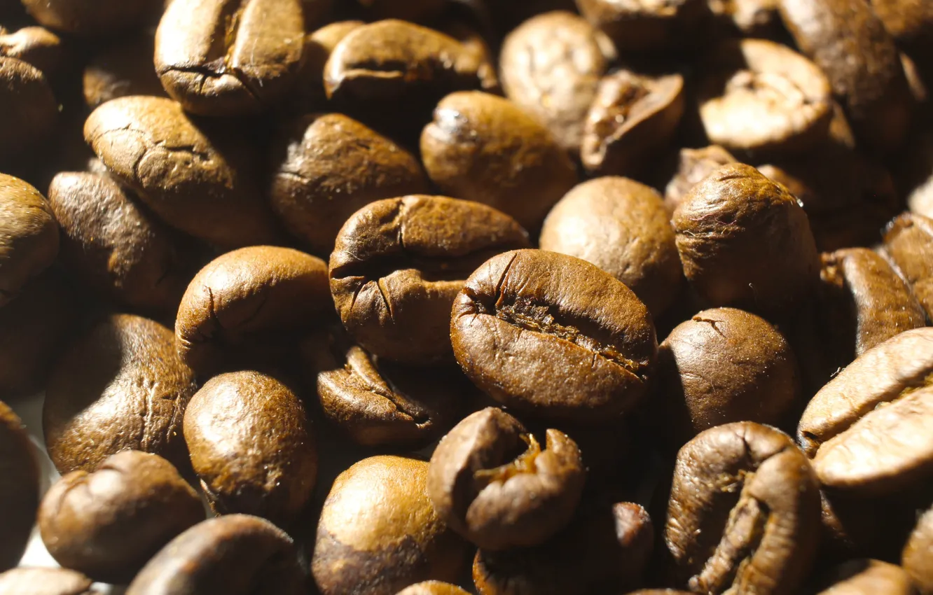 Wallpaper coffe, grain, braun images for desktop, section еда - download