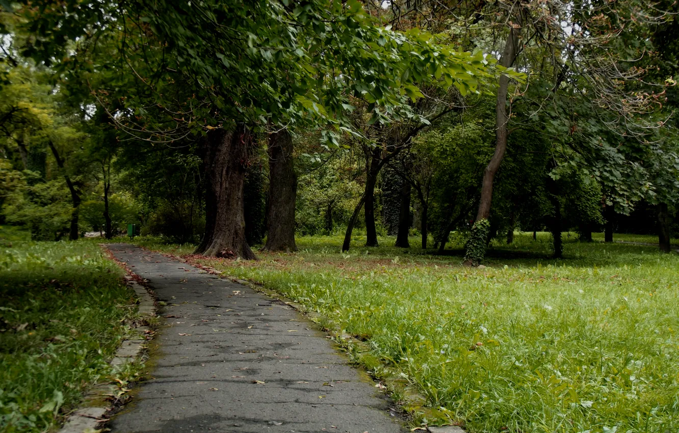 Wallpaper autumn, Park, October, track, park, Autumn, path, october for ...