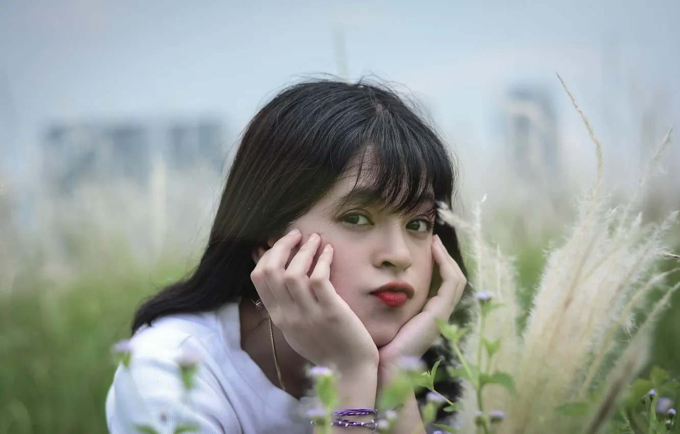 Wallpaper grass, grass, Asian, blurred background, asian, cute girl ...