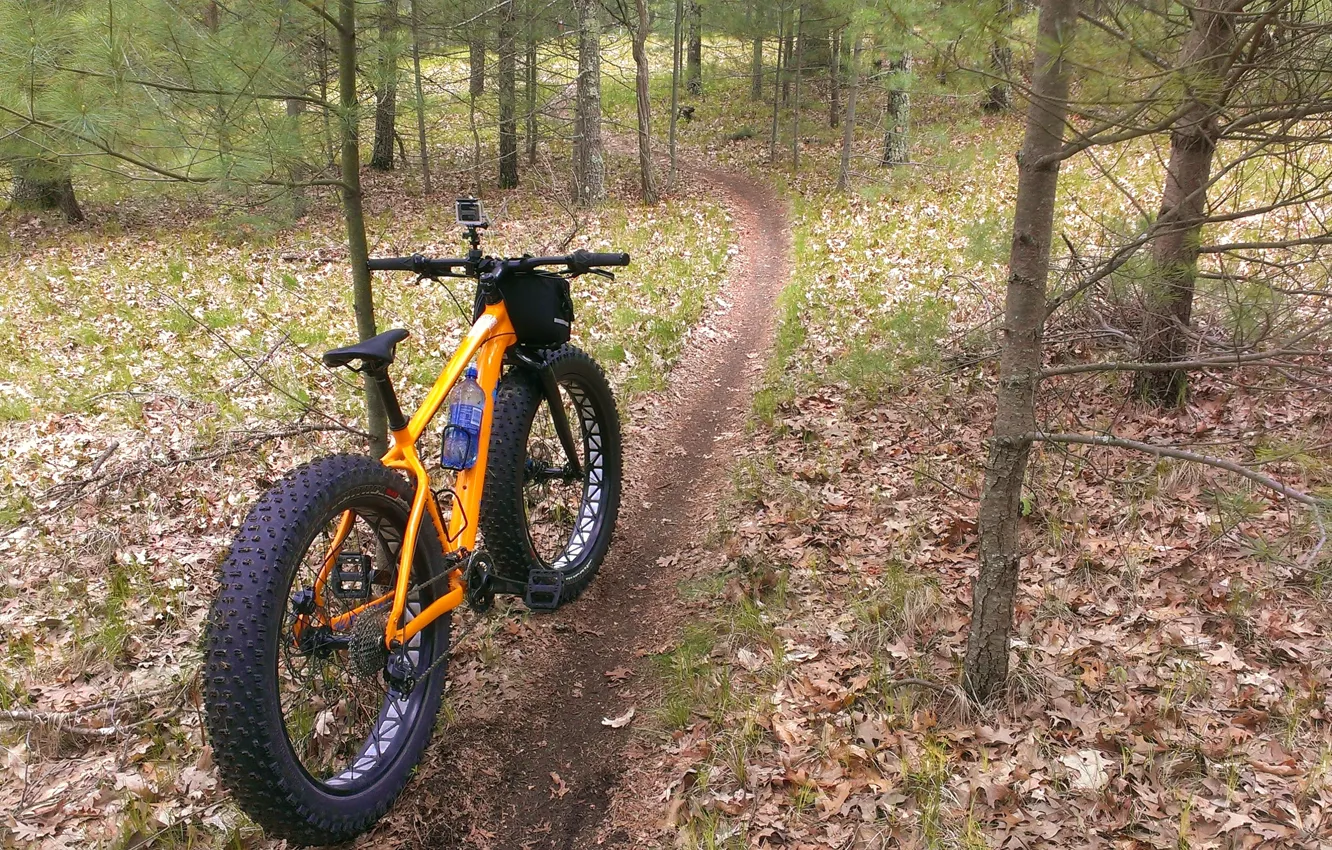 Wallpaper forest, autumn, sports, path, mountain biking, navigation for ...