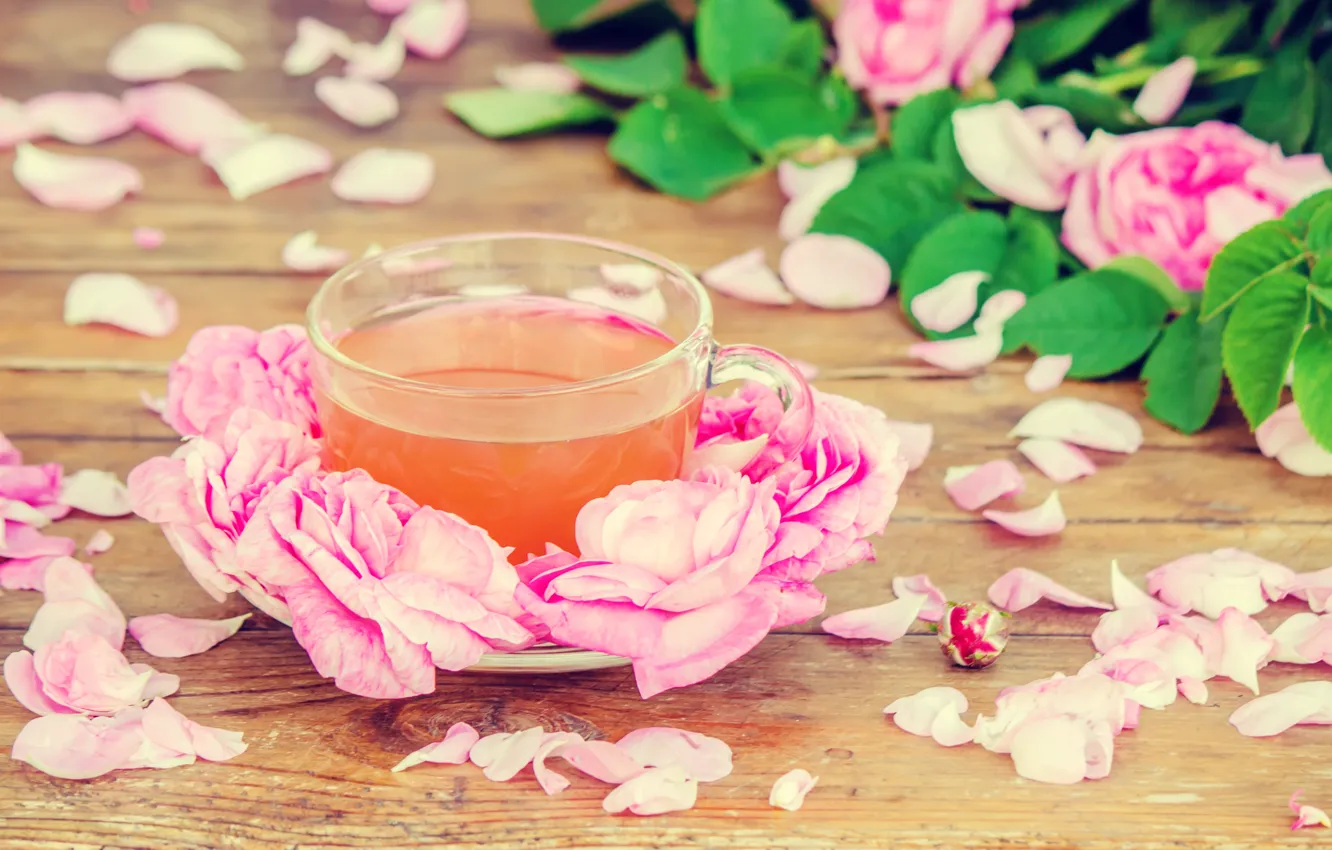 Wallpaper leaves, flowers, tea, tenderness, pink roses for mobile and ...