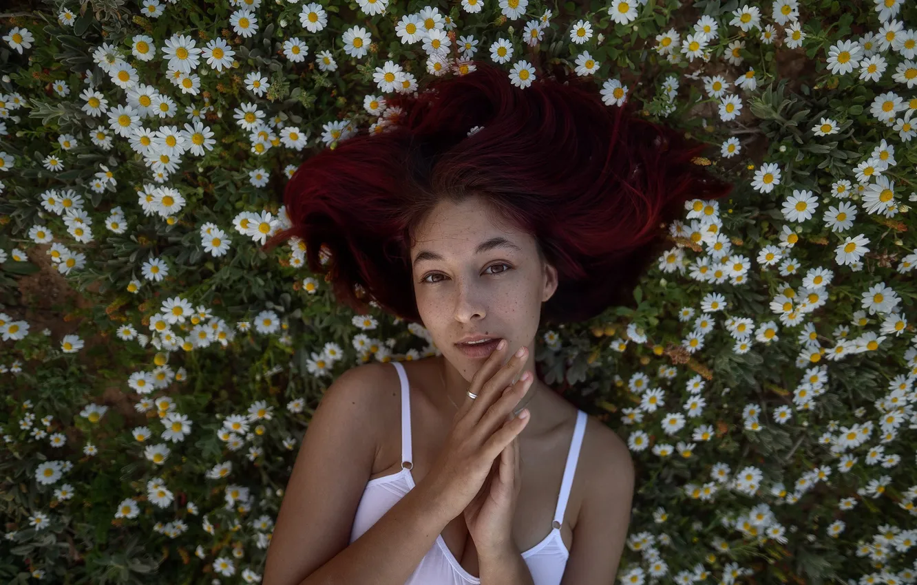 Wallpaper chamomile, photoshoot, Inna, Maxim Gontarev for mobile and ...