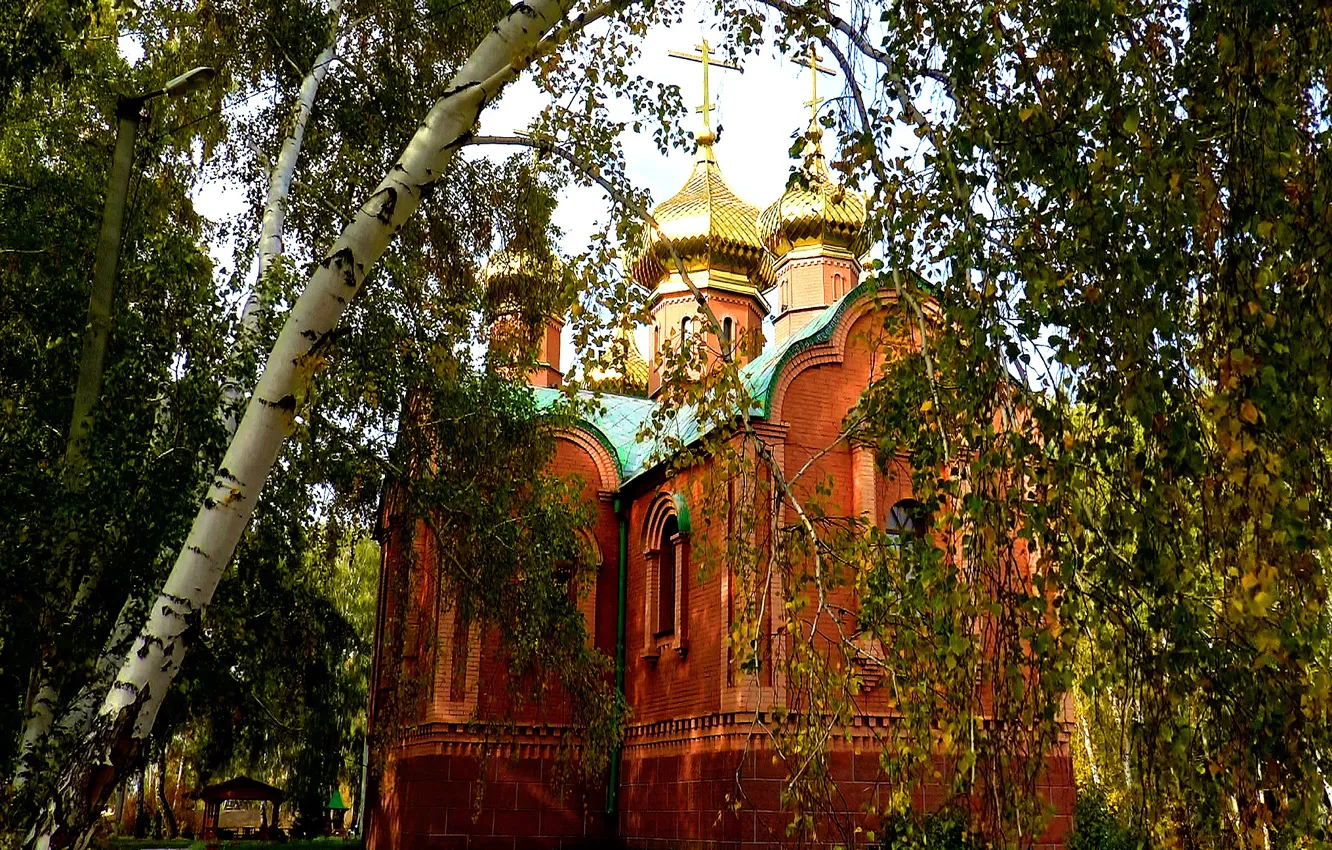 Wallpaper autumn, Temple, chapel, birch, OMSK images for desktop ...