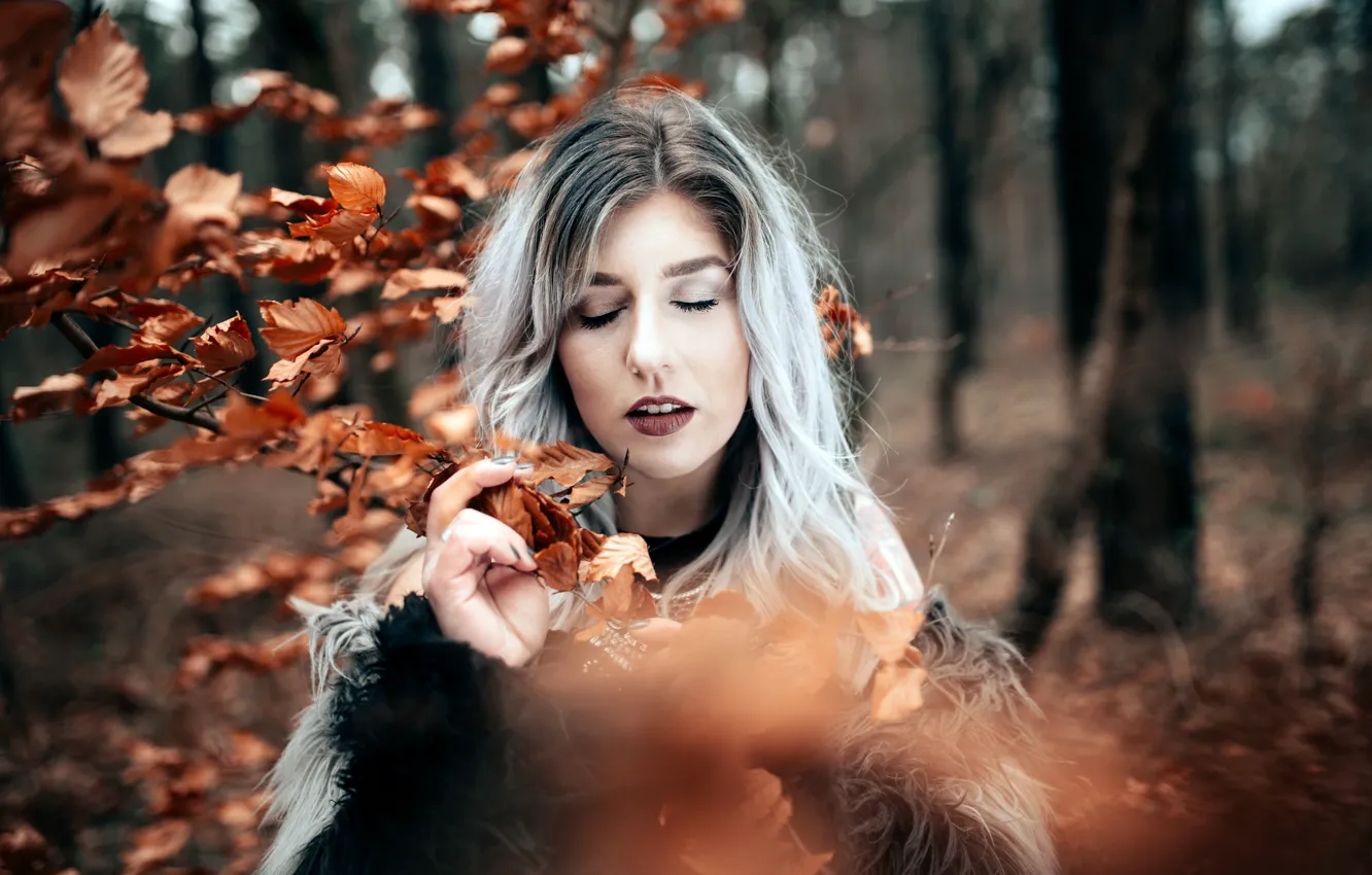 Wallpaper autumn, girl, Sarah for mobile and desktop, section девушки ...