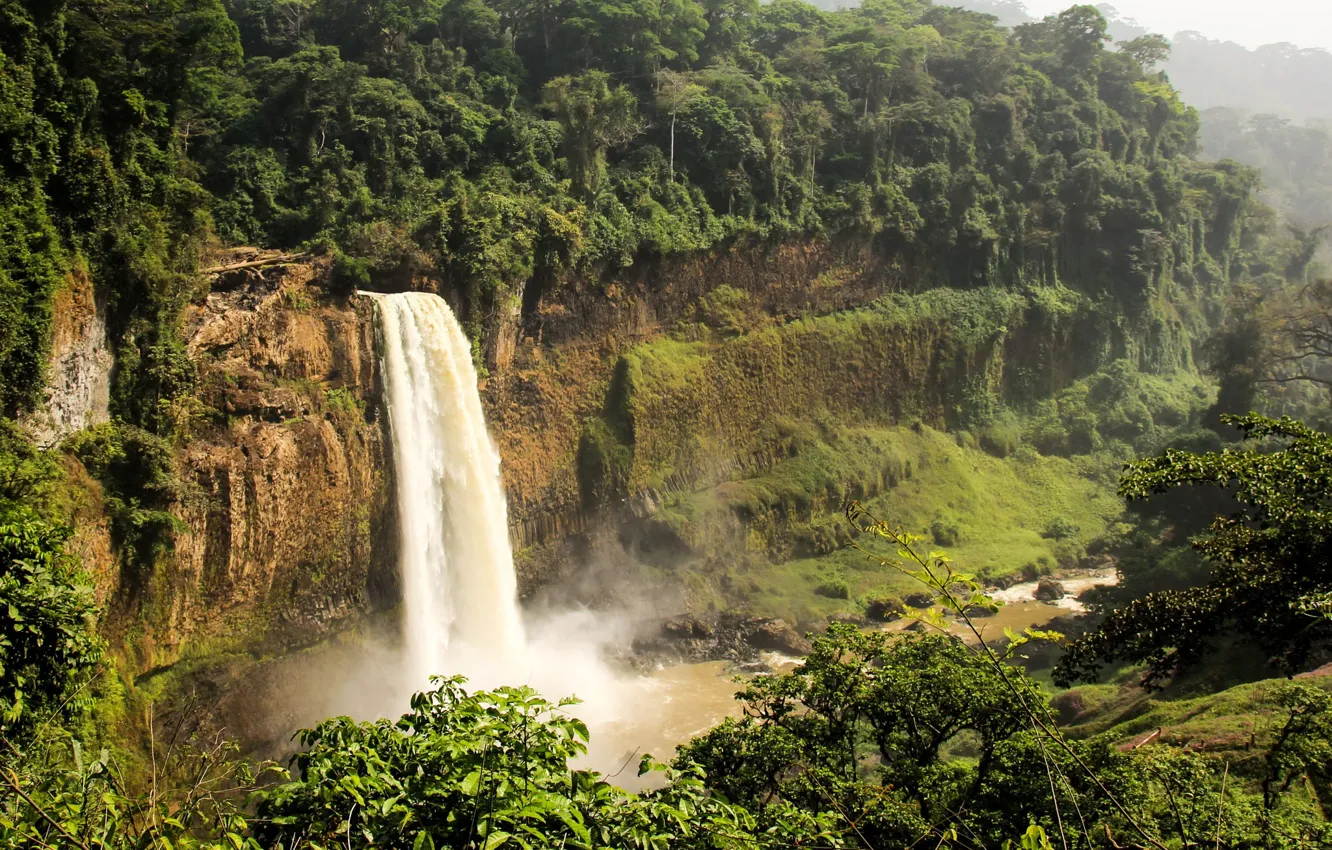 Wallpaper forest, the sun, trees, tropics, rocks, waterfall, jungle ...