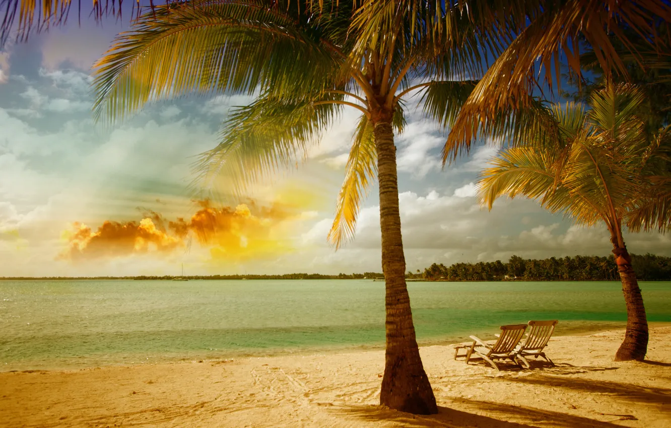 Wallpaper sand, sea, beach, palm trees, shore, summer, beach, sea for ...