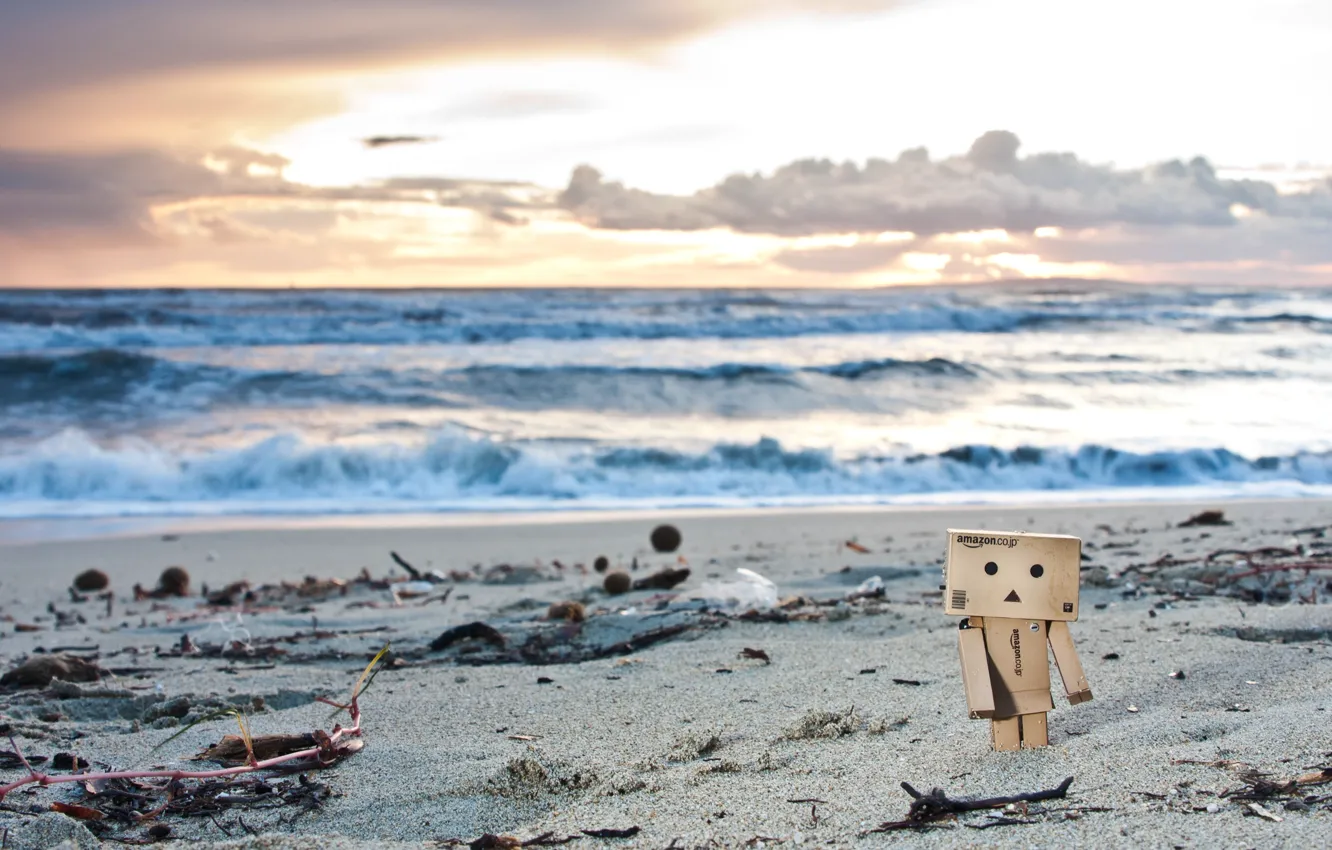Wallpaper sand, beach, algae, sunset, toy, danbo, figure, danbo images ...