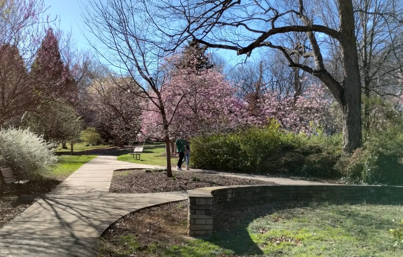 Wallpaper parks, Raleigh, Fred Fletcher Park for mobile and desktop ...
