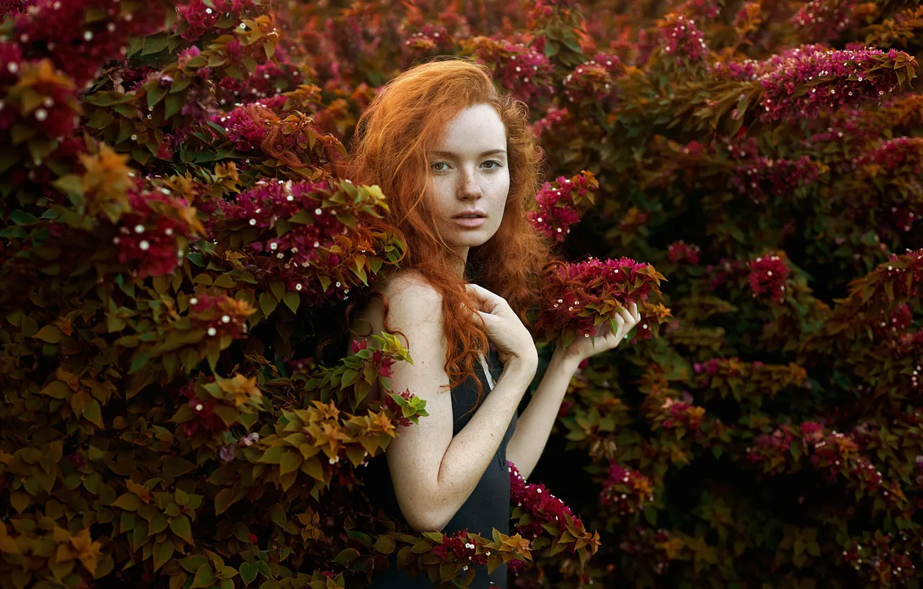 Wallpaper Look Girl Face Pose Hands Red Redhead The Bushes For