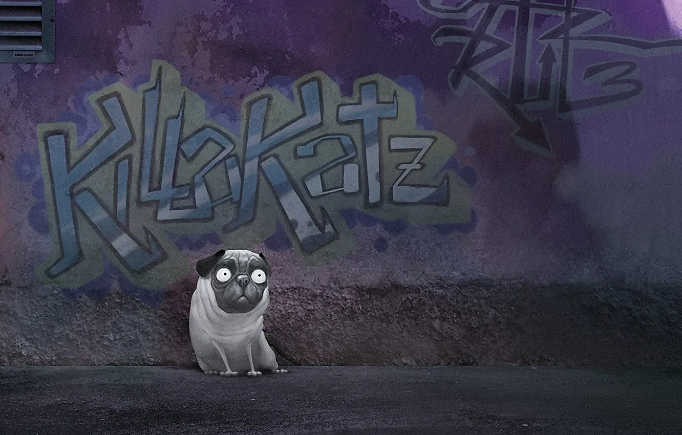 Wallpaper wall, Graffiti, pug for mobile and desktop, section собаки ...