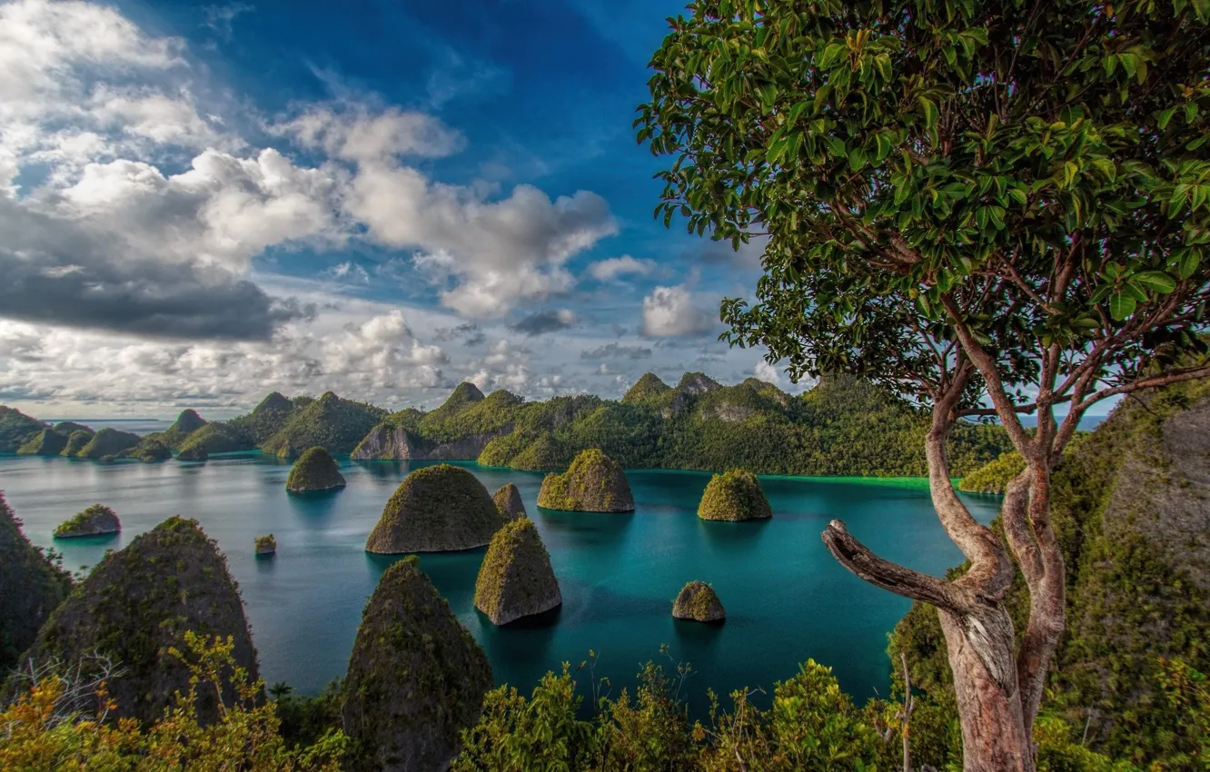 Wallpaper sea, Islands, trees, Indonesia for mobile and desktop ...
